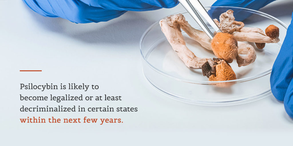 Psilocybin Laws in the United States: What You Need to Know