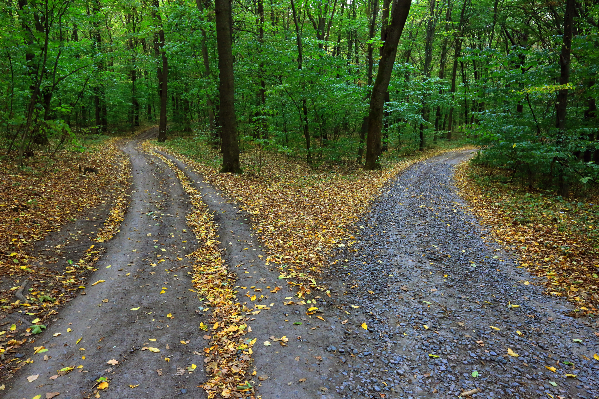 Two Roads Split