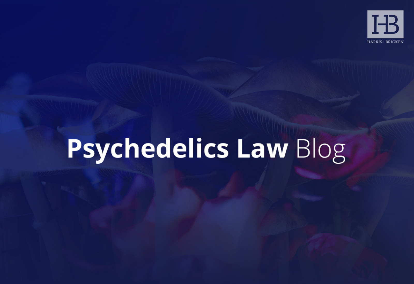 Announcing the Psychedelics Law Blog! - Harris Sliwoski LLP