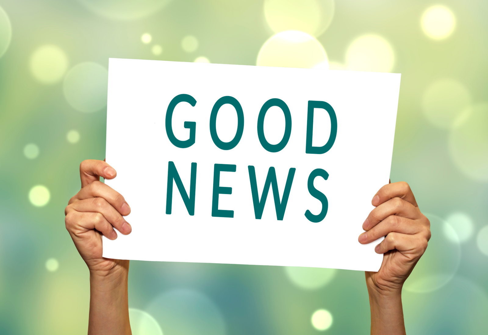 Washington's Social Equity in Cannabis License Application Window Extended