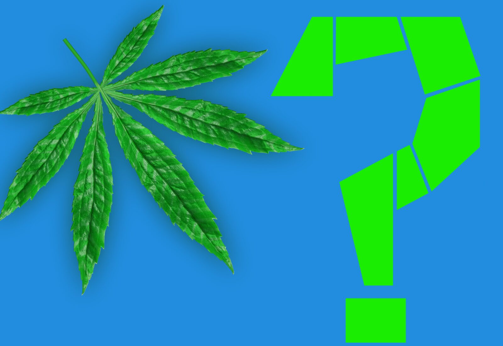 Is There a Method to the Mayhem? The Stock Market and a Potential Cannabis Collapse - Canna Law ...