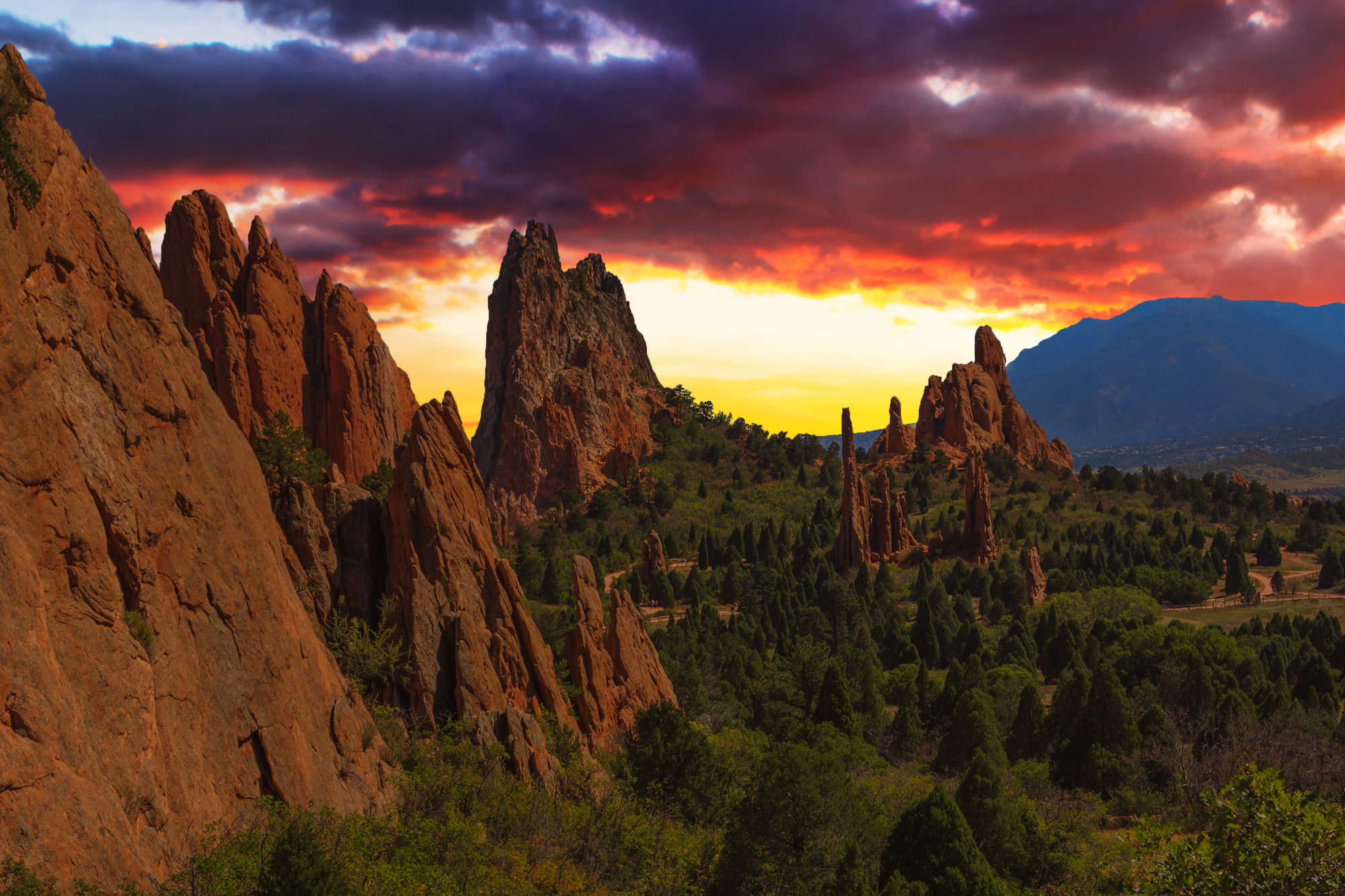 Colorado Legalizes Psychedelics - Harris Sliwoski LLP