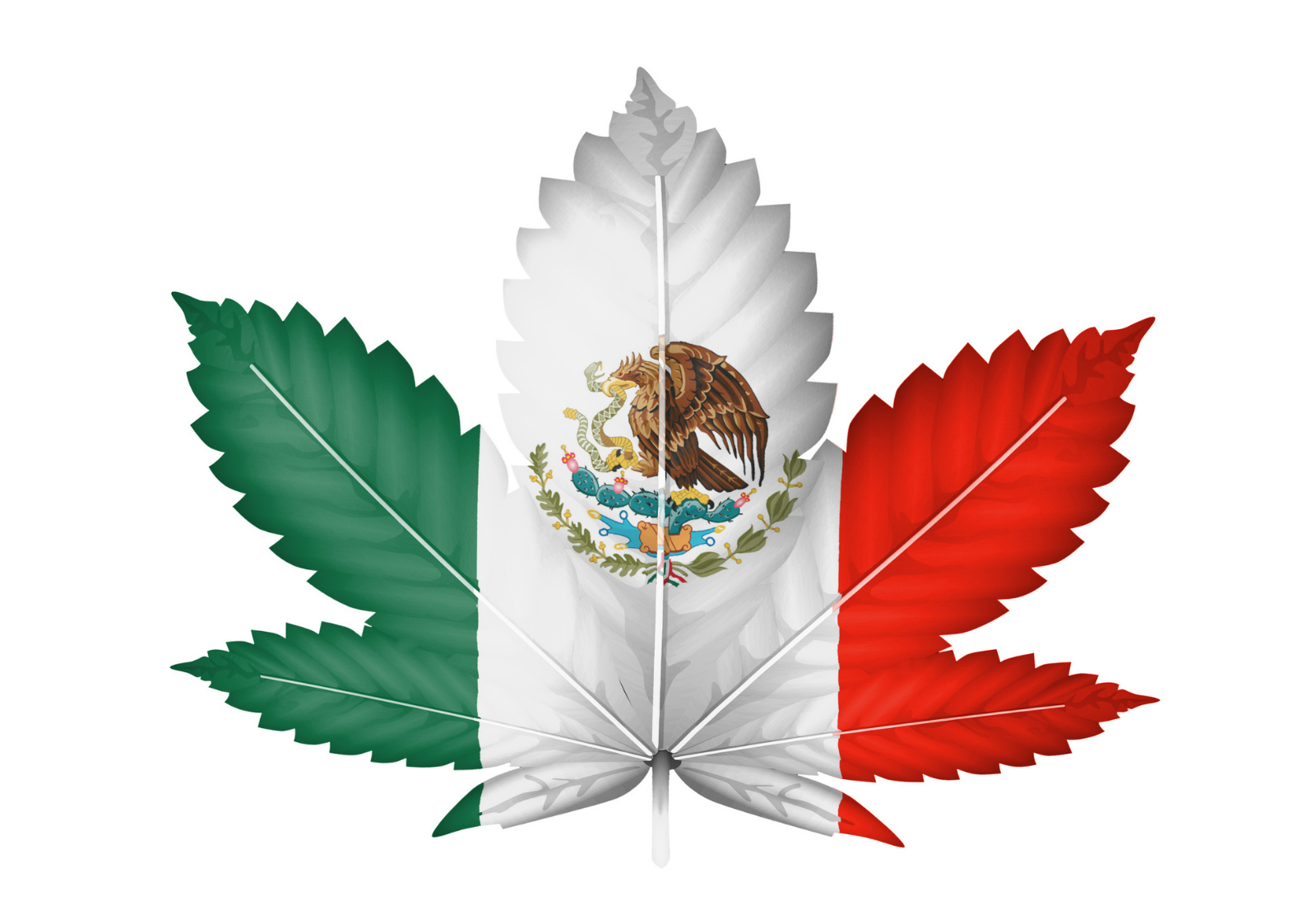 Mexico Cannabis FAQ - Canna Law Blog™