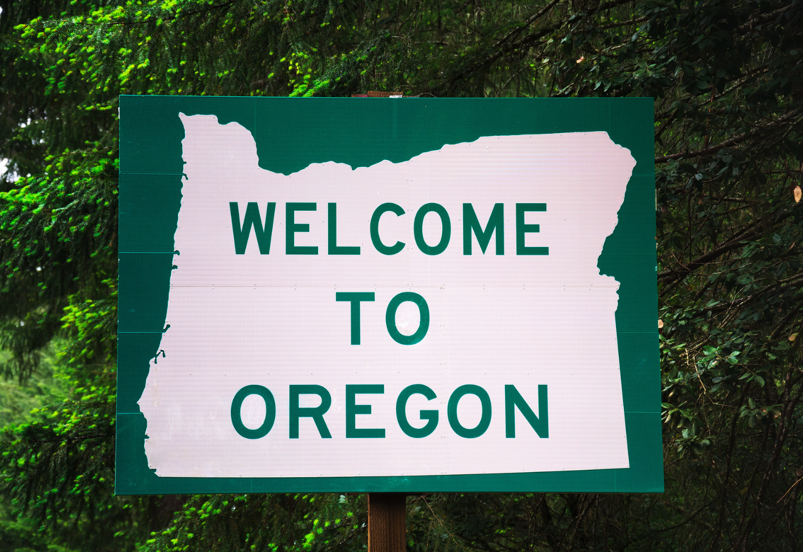 Oregon Hemp Alert: New Vendor License Requirement Takes Effect July 1 ...