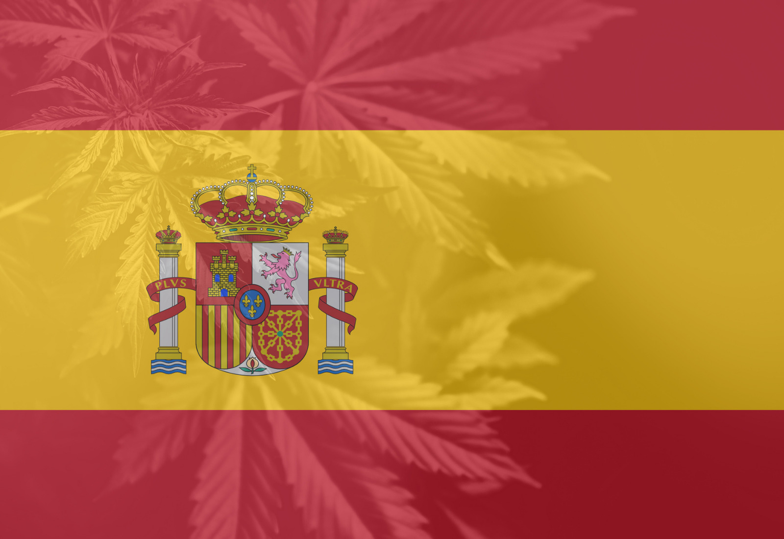 Cannabis in Spain: ICBC Notes - Canna Law Blog™